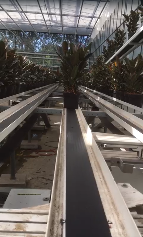 Buffersorteersysteem met bufferbanden Opti Systems – Heto-agro